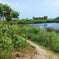 Berm Path Pond, Plein Air Original Painting 8x10 – SoloWorkStudio