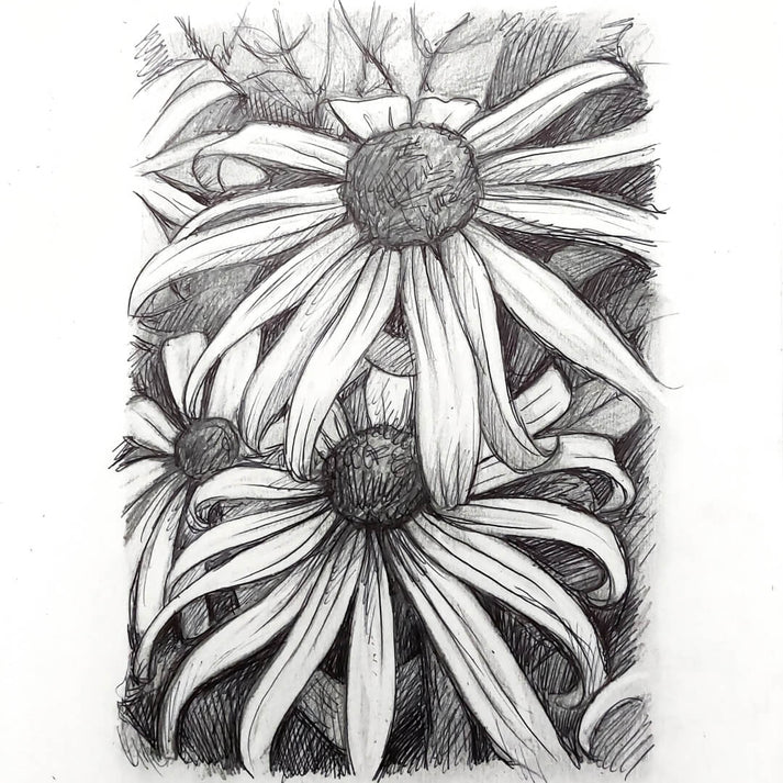 DAY 6 - Black Eyes Susans - Original Daily Draw to Paint – SoloWorkStudio