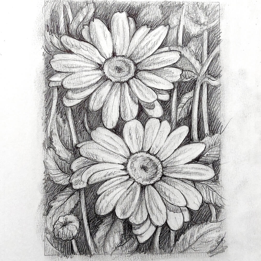 DAY 11 - Daisies- Original Daily Draw to Paint – SoloWorkStudio