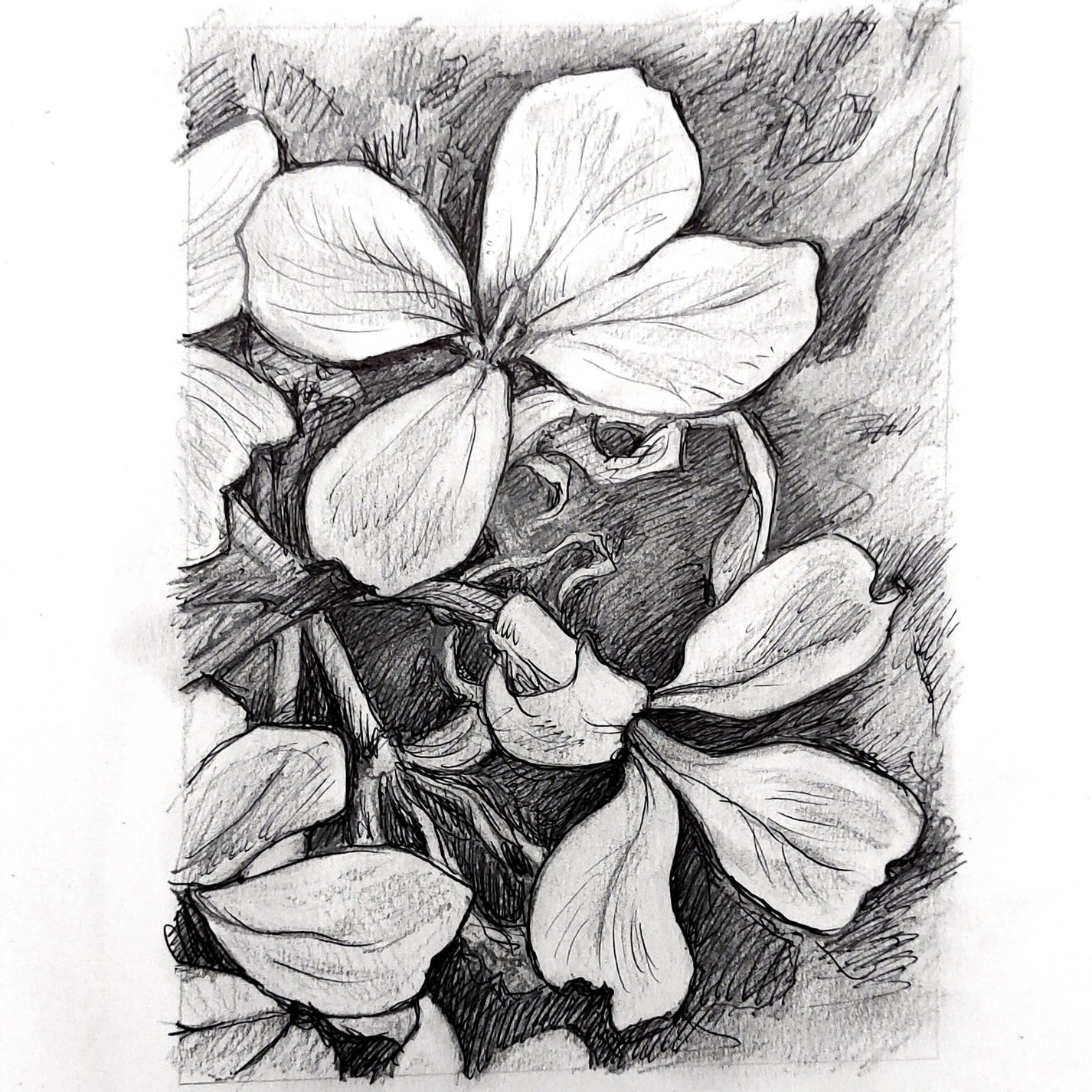 DAY 4 - Purple Petals - Original Daily Draw to Paint – SoloWorkStudio