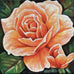 Rose, Wings Blooms, Original Painting 6x6 – SoloWorkStudio