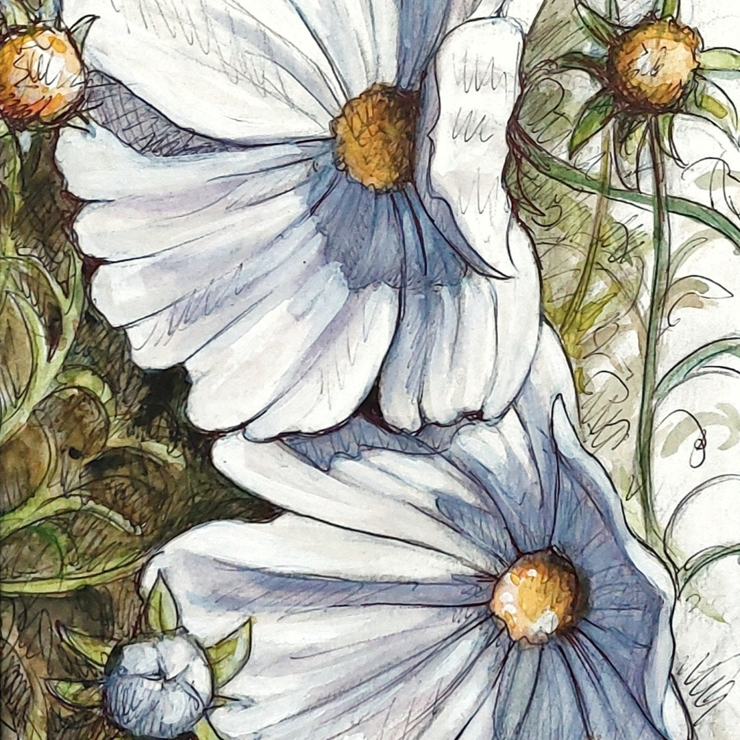 DAY 28 - White Cosmos - Original Daily Draw to Paint – SoloWorkStudio