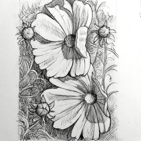 DAY 28 - White Cosmos - Original Daily Draw to Paint – SoloWorkStudio